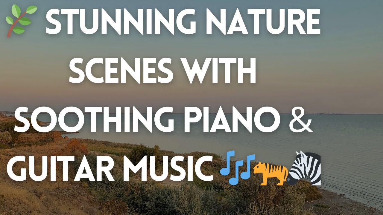🌿 Relax & Unwind: Stunning Nature Scenes with Soothing Piano & Guitar ...