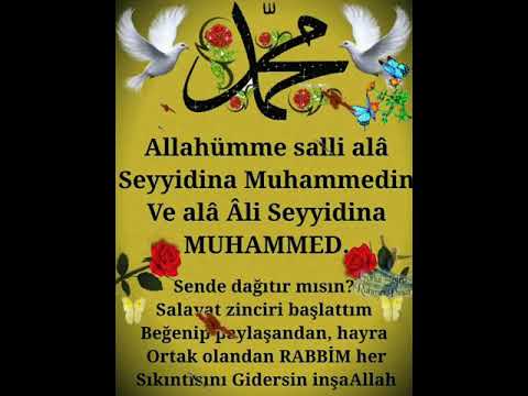 Allahin selami tum musluman aleminin uzerine olsun.esselamun aleykum