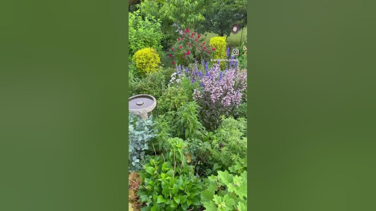 4 Season Garden 🌸🌱 ️🍂 - YouTube