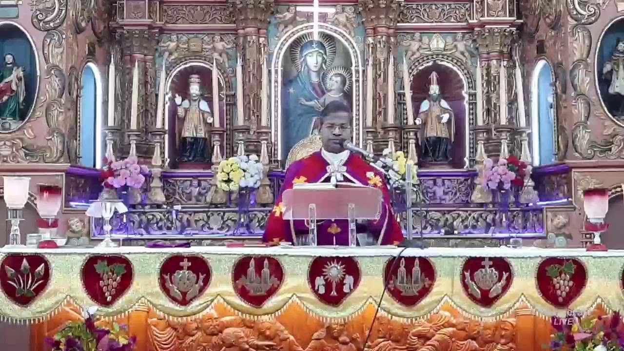 Holy Mass | Malayalam | Syro Malabar Rite | October 13 I Holy Qurbana ...