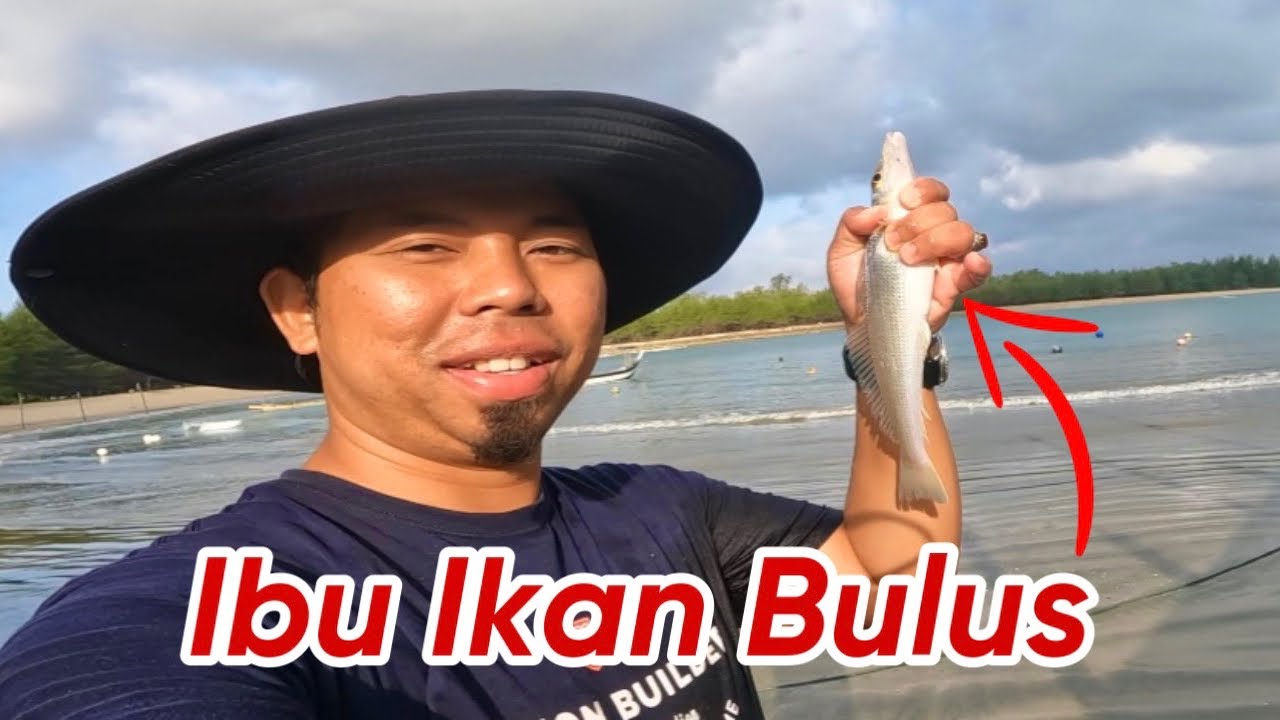 🇲🇾Rezeki Menjala Dapat Ikan Bulus Saiz Gorgon | Catch And Cook ...