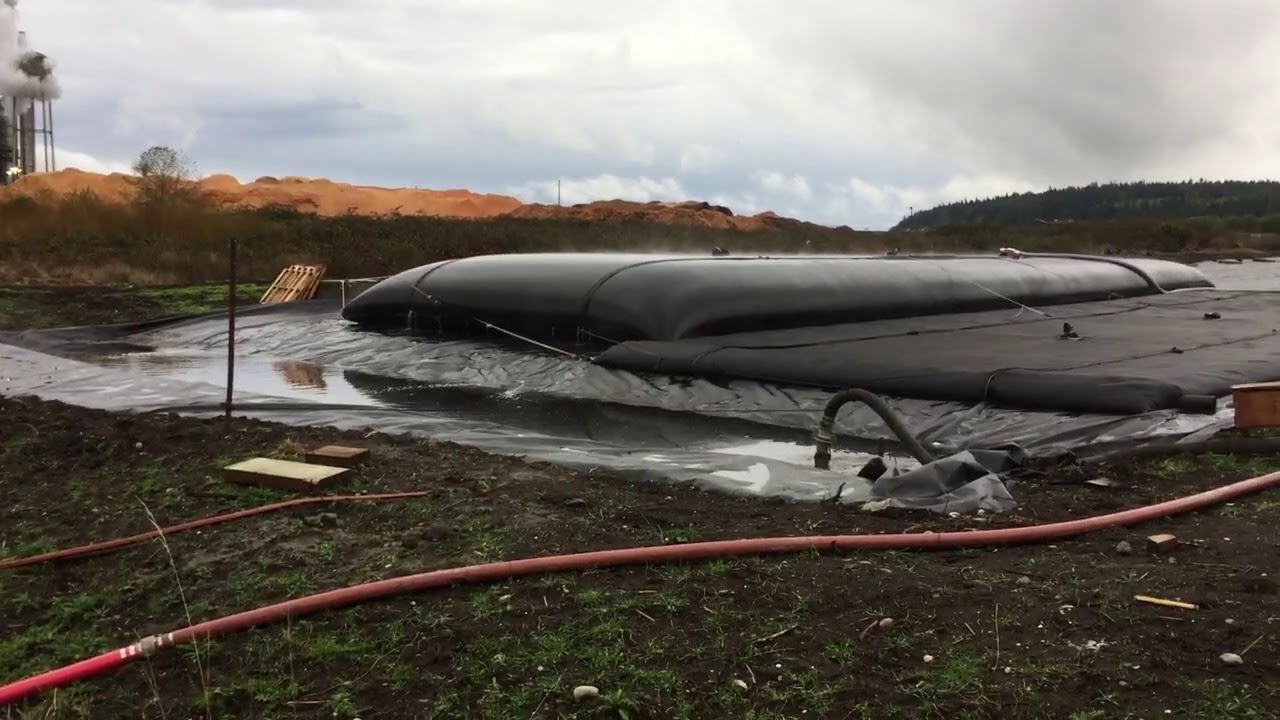 Pulp and Paper Sludge Dewatering - YouTube