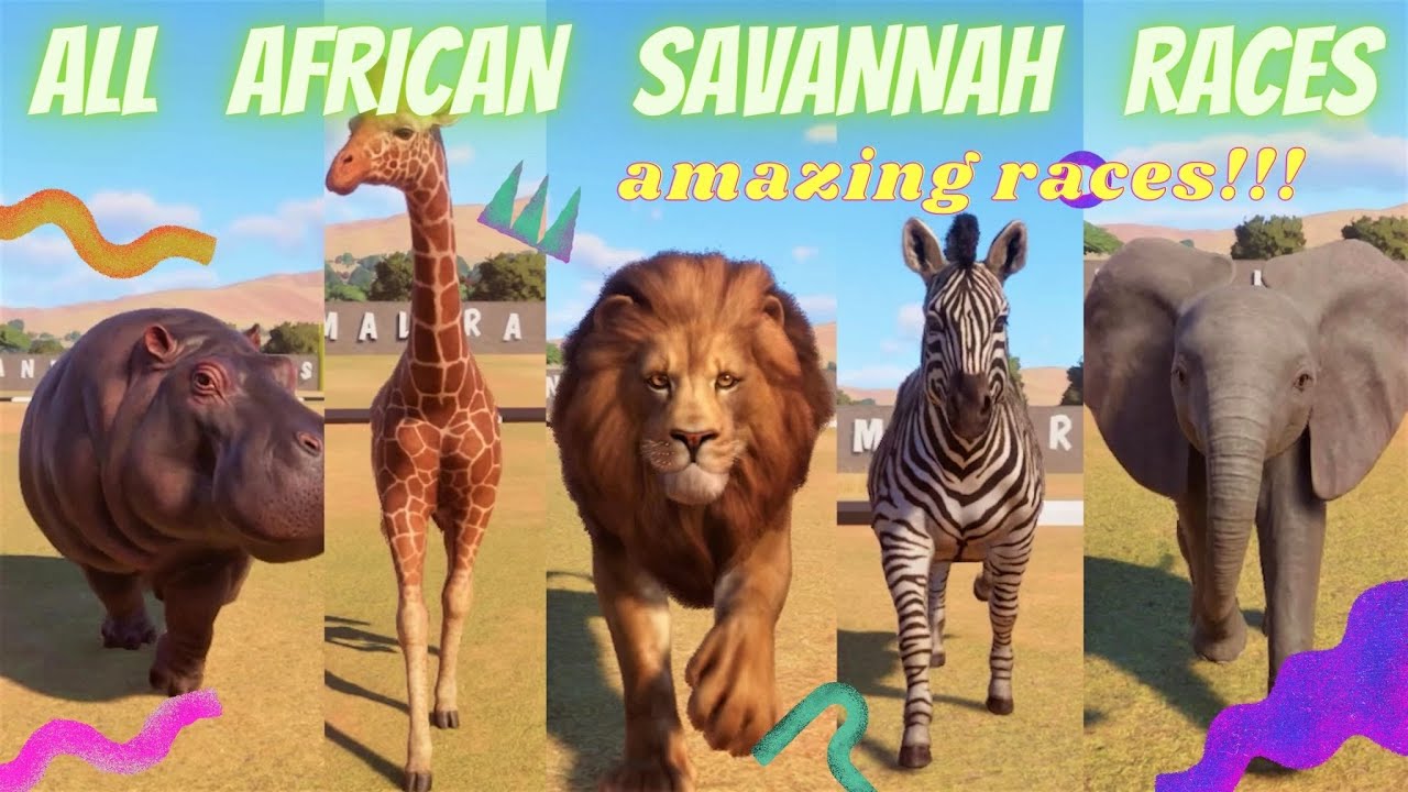 AFRICAN ANIMALS RACES/PLANET ZOO RACES/LION KING/GIRAFFE/HIPPOPOTAMUS ...