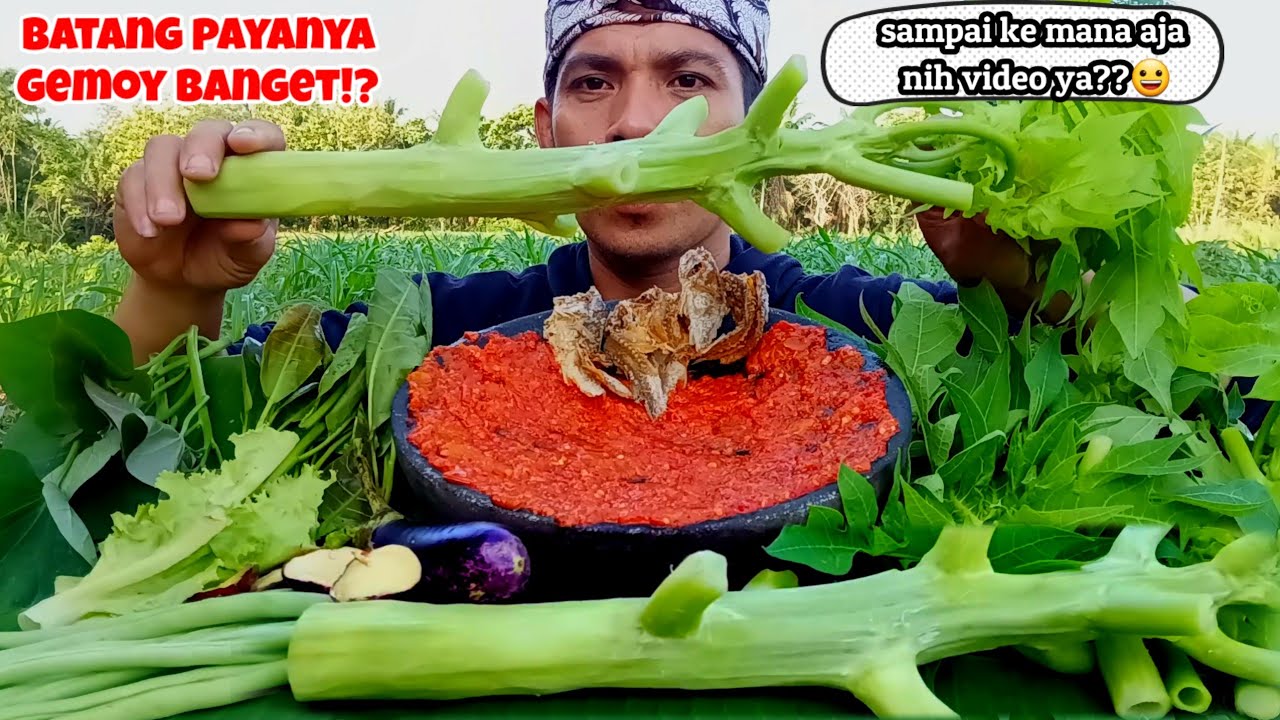 GEMOY BANGET BATANG PAYANYA‼️MUKBANG 7 MACAM LALAPAN MENTAH TANPA NASI ...