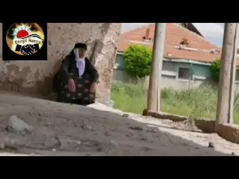 Lê lê dayê  Dengê Nasıra facebook sayfası