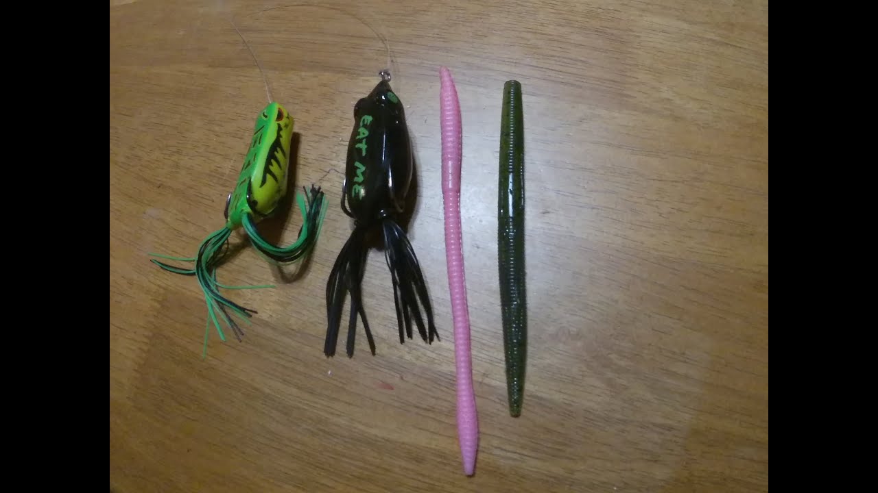 FROGS VS WORMS CHALLENGE..... - YouTube