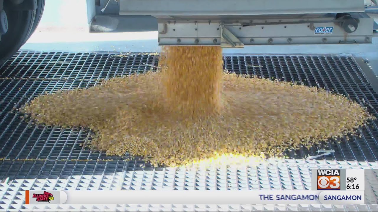 Going behind the scenes: creating the crunch behind Frito-Lay chips ...