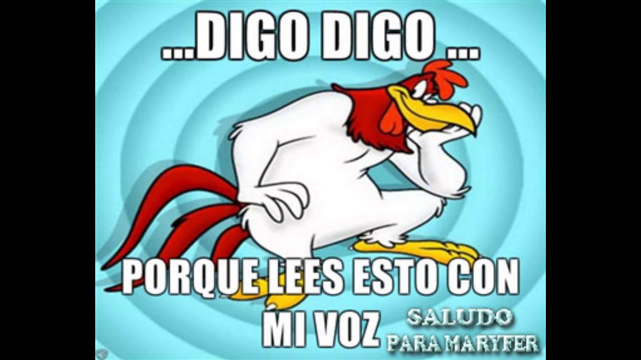 Saludo del Gallo Claudio - YouTube