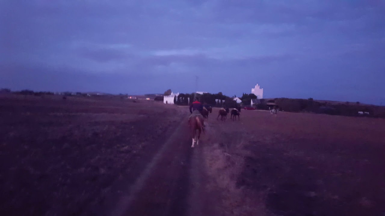 Ride back to stables - YouTube