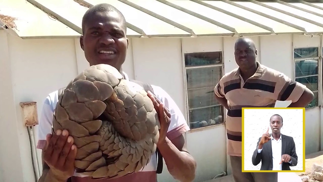 ZRP CRIME WATCH S08E12 - YouTube