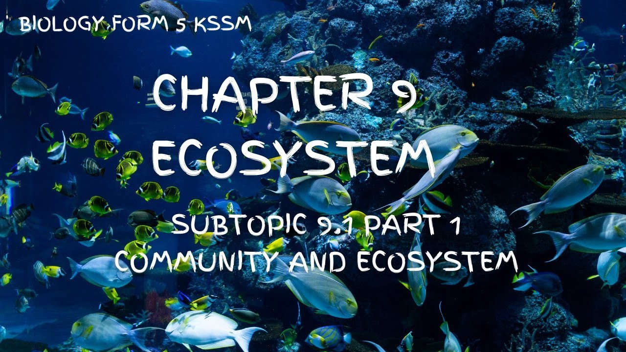 BIOLOGY FORM 5 KSSM : CHAPTER 9 ECOSYSTEM (SUBTOPIC 9.1 PART 1) - YouTube