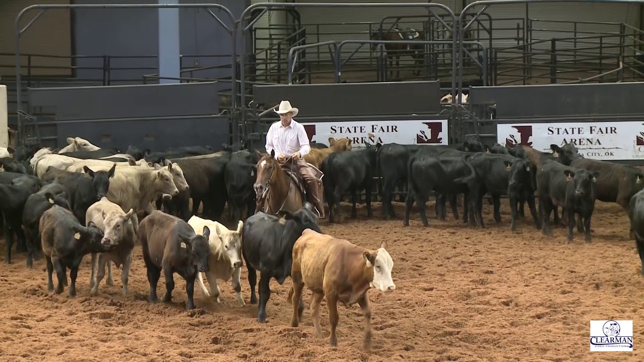 Chitas Cats Merada OKC 50amt - YouTube