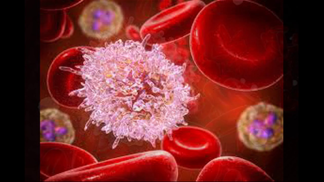 Cancer Leukemia T-Cell Healing Rife - YouTube