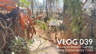 Brooklyn Botanic Garden | Relaxing Steinhardt Conservatory Tour [VLOG 039]