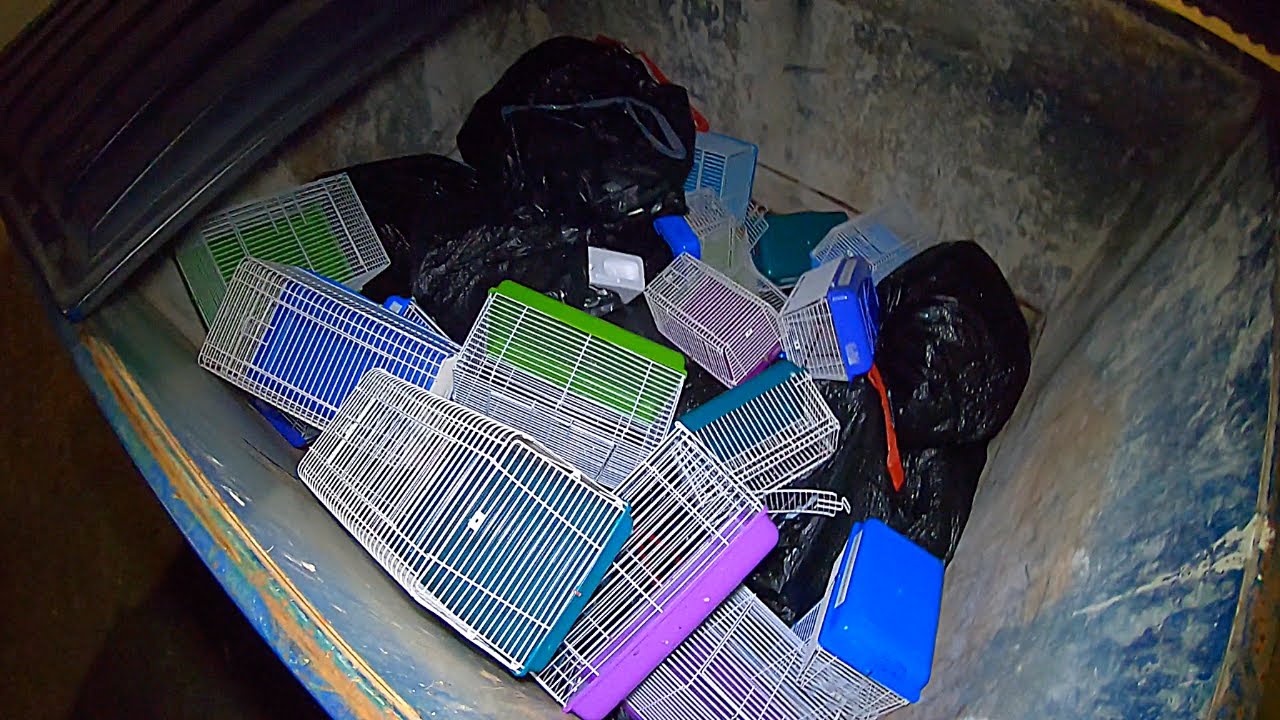 Dumpster Diving "Scratch & Dent" - YouTube