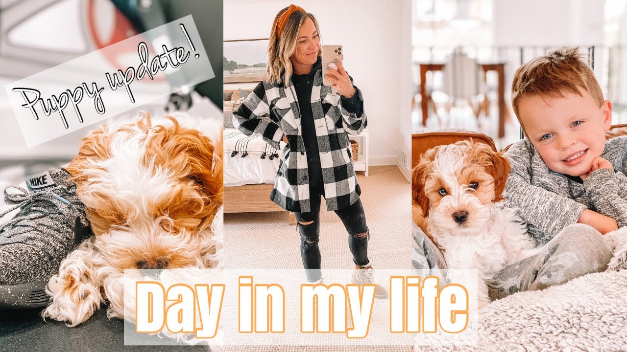 DAY IN THE LIFE OF A MOM | 15 WEEK COCKAPOO PUPPY UPDATE | LOWER BODY ...