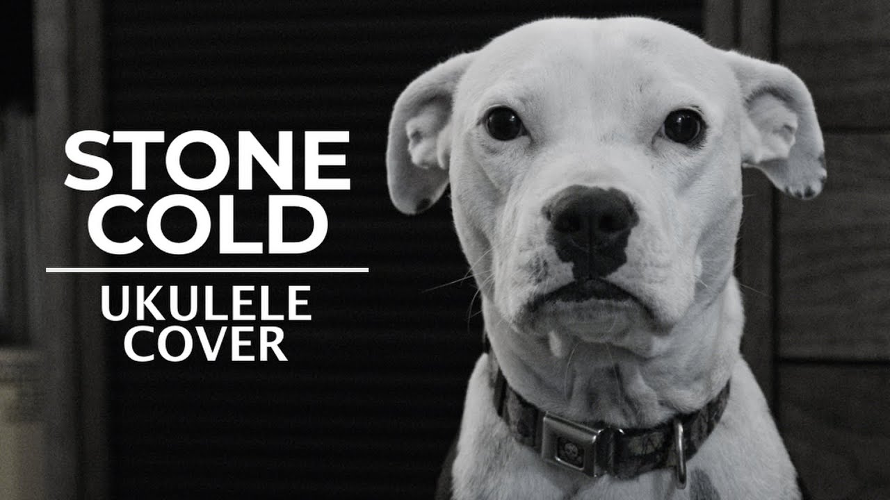 Stone Cold (Demi Lovato Cover) - YouTube