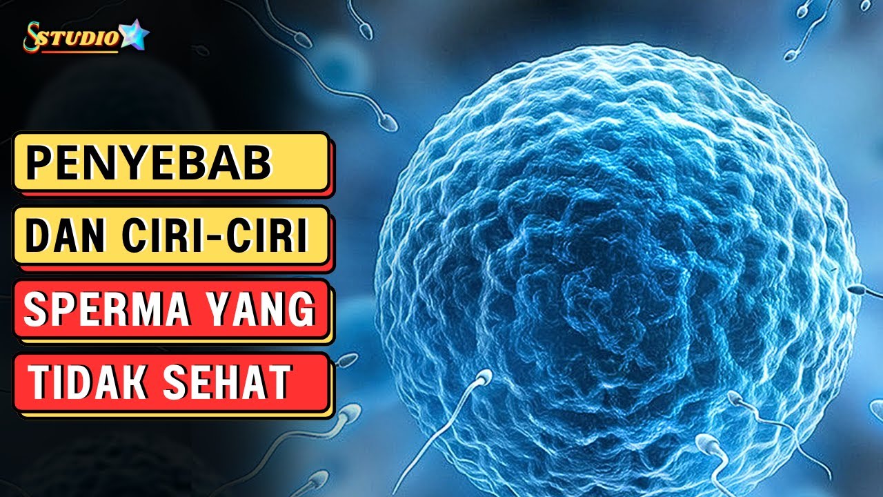 5 CIRI SPERMA TIDAK SEHAT PADA PRIA @SEN STUDIO - YouTube