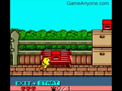 Tweety's High-Flying Adventure- Training - YouTube