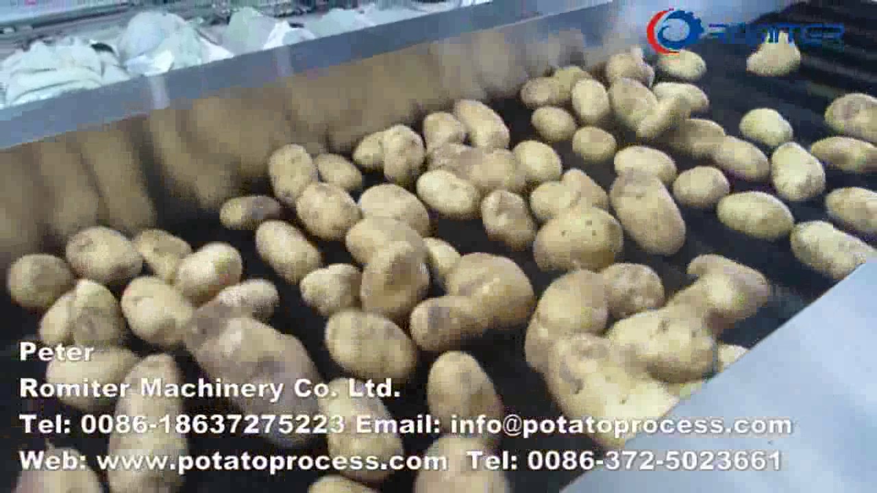 Automatic Potato Brush Dry Cleaning Machine - YouTube