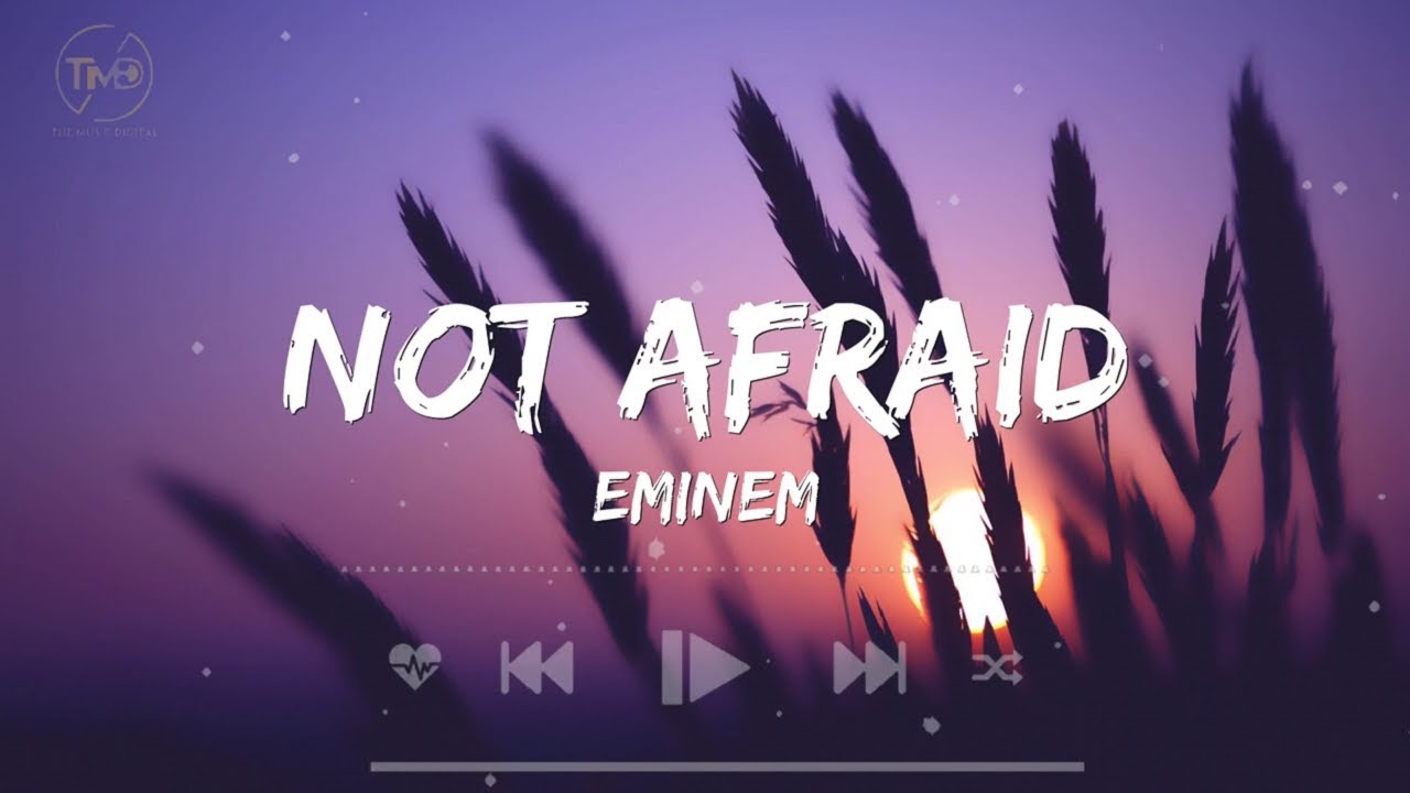 Not Afraid - Eminem (Lyrics) | Shawn Mendes, Ellie Goulding, Demi ...