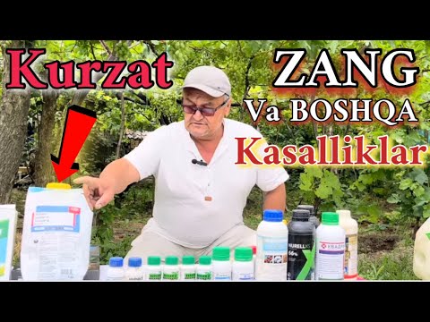 Zang kasaliga chora. Uzum sohasidagi  Mutahassis Dilmurod Karimov Maslahatlari.  14.06.2022