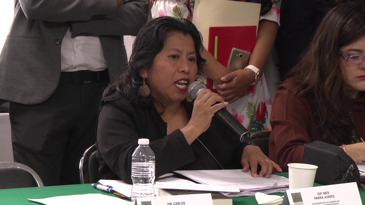 07/11/2018 Participación de la Dip Inés Parra Juárez - YouTube
