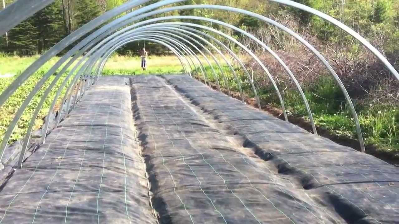 Hoop Houses In The Desert