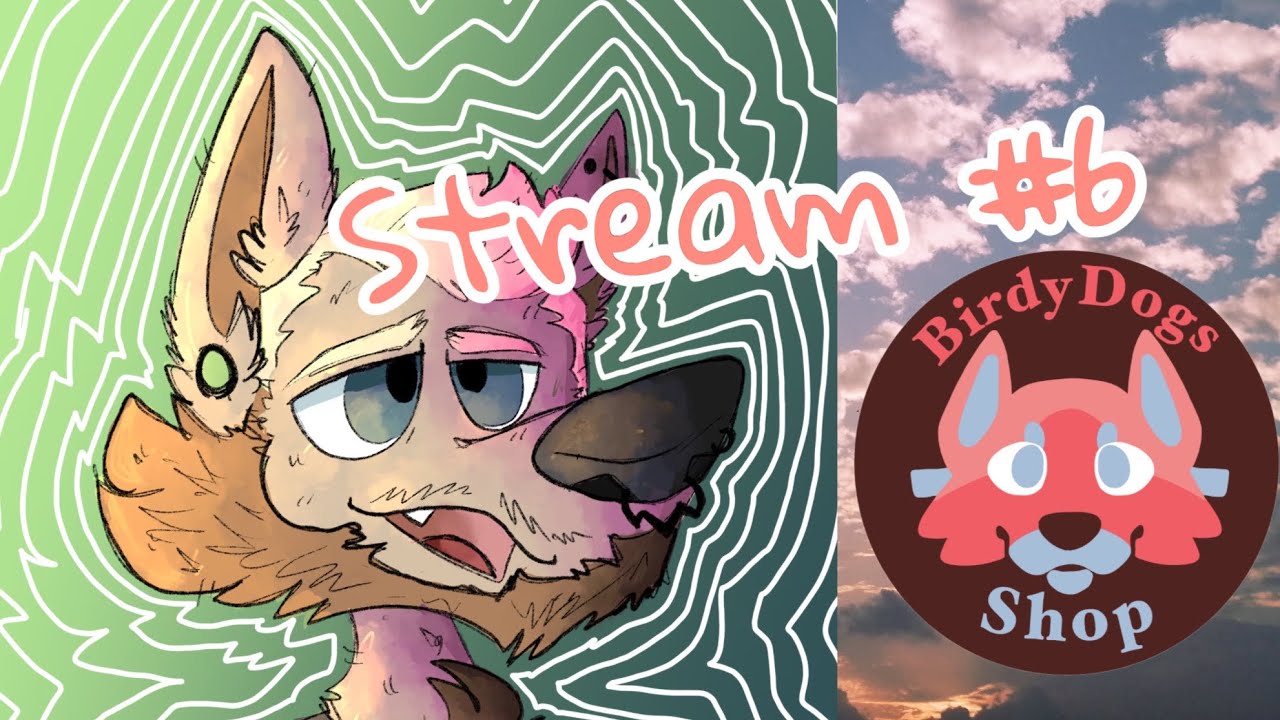 BirdyDogs is live! - YouTube