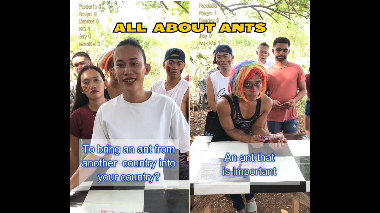 Questions are All About Ants - YouTube