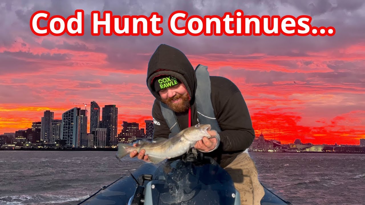 Cod Hunt continues on the River Mersey #fishinglife #seafishing - YouTube