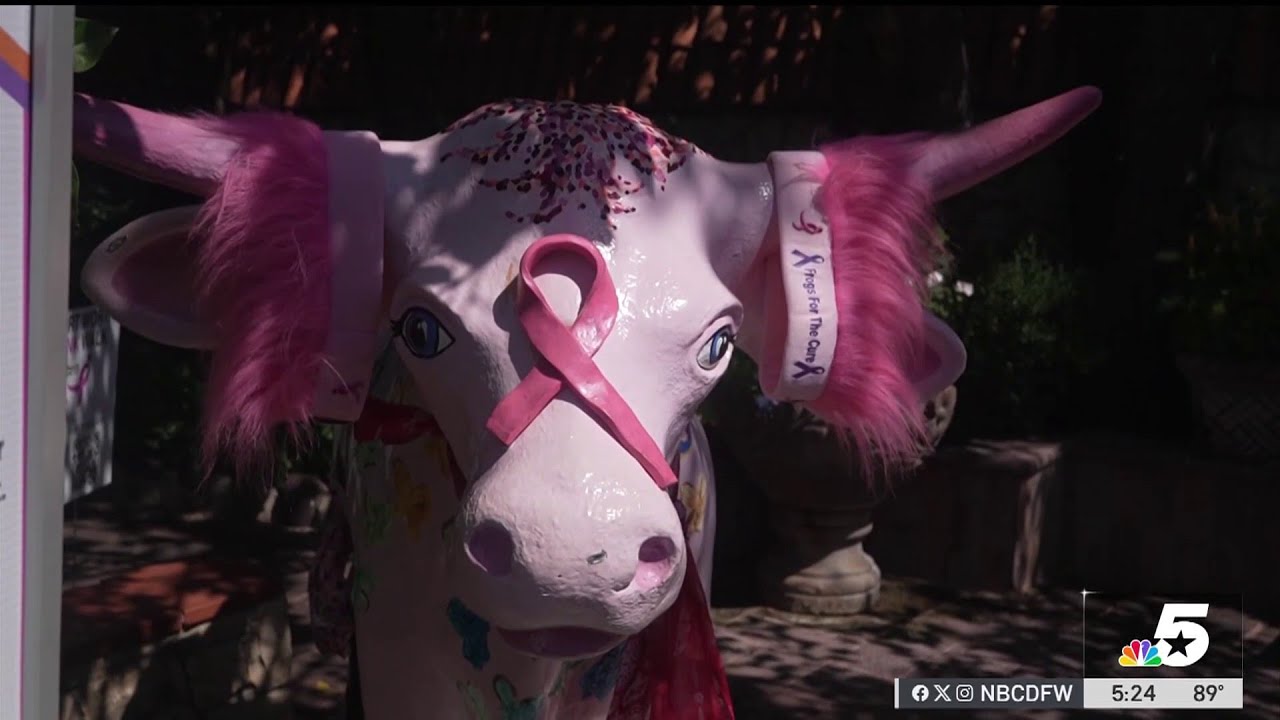 'More Than Pink Walk' coming to Fort Worth this weekend | NBCDFW - YouTube