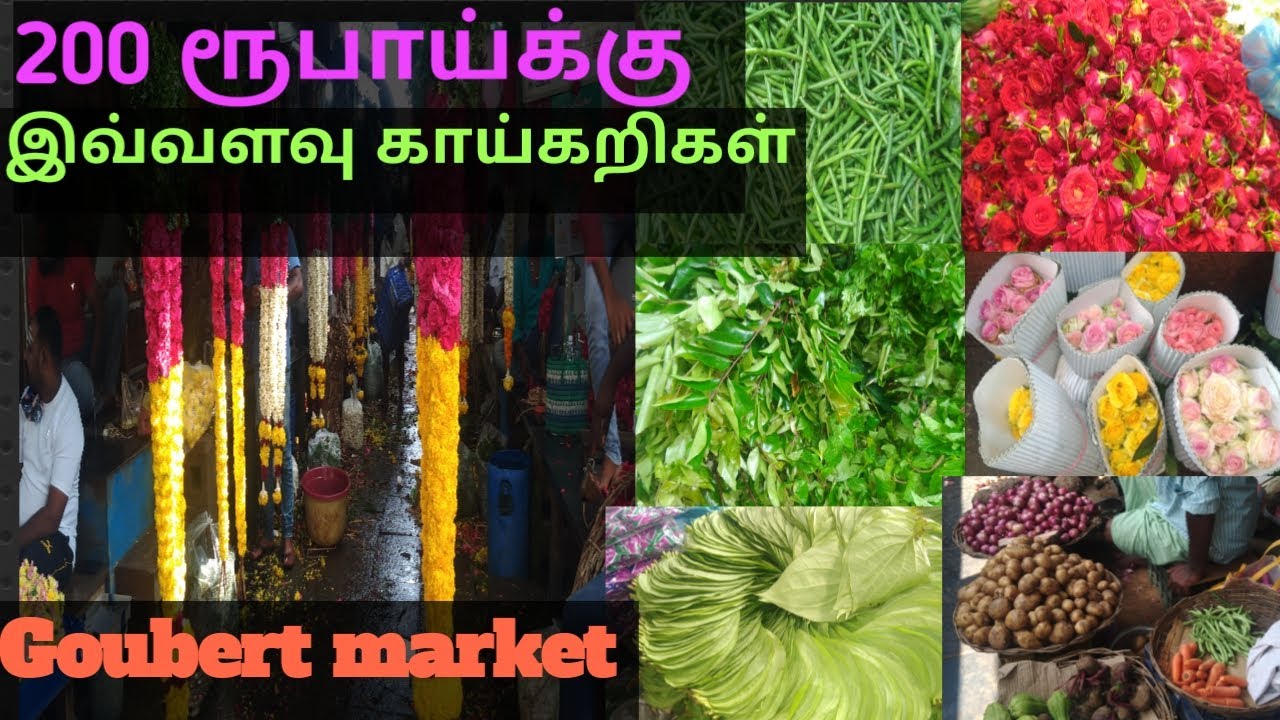 Goubert Market//குபேர் மார்கெட் போகலாம் வாங்க - YouTube