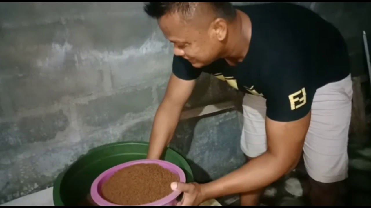 Bisnis Sampingan Ternak lele Pemuda sukses Yosowilangun Lumajang 2bln 1ton • IVAN FIRMANSYAH ...