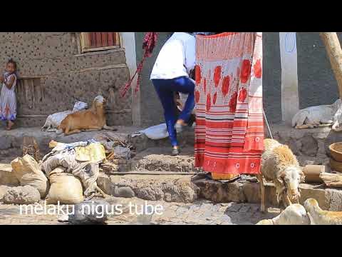 ለእናት ማገዝ መባረክ ነው melaku nigus tube - YouTube