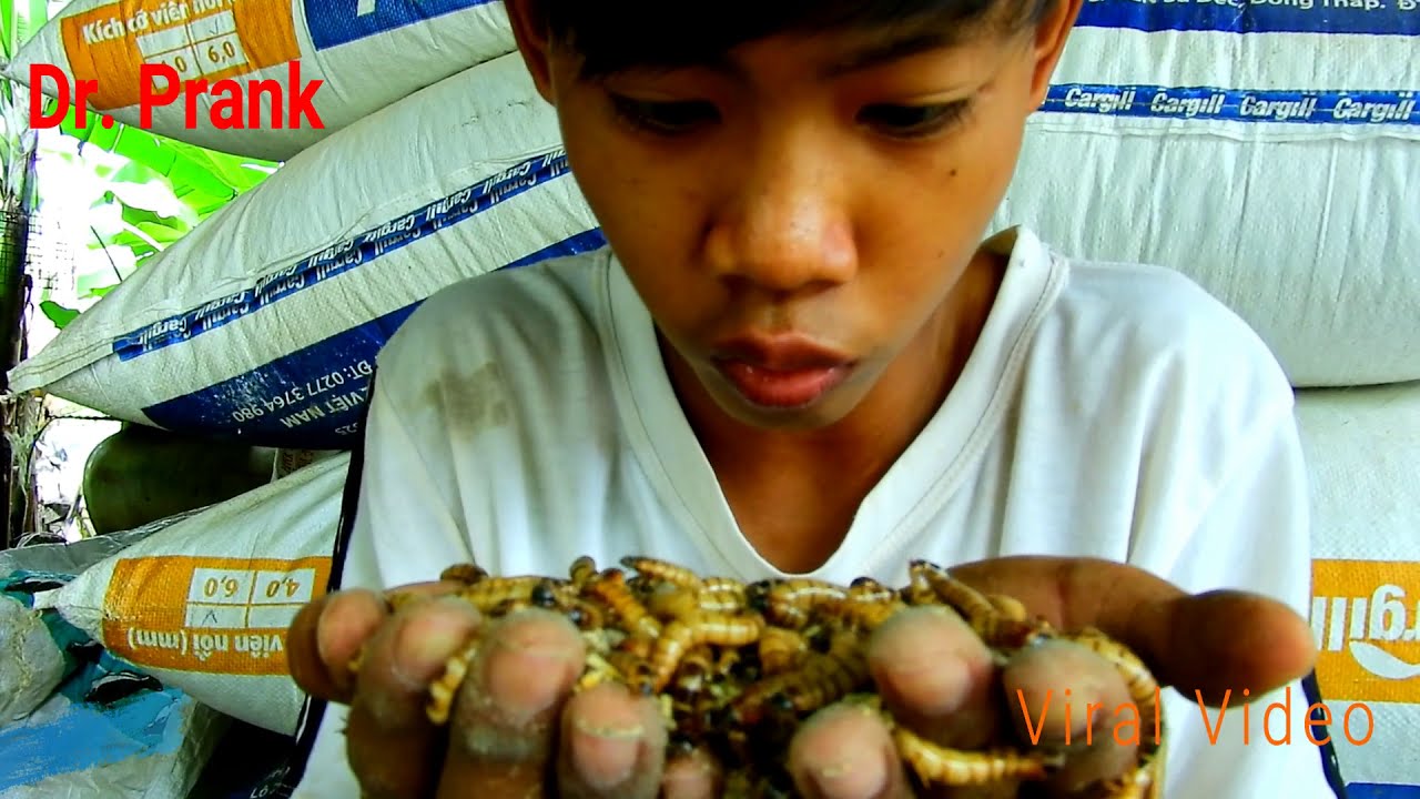Unbelievable ! A Boy Meet Plenty Of Dirty Worms In Old Can, So Surprise ...