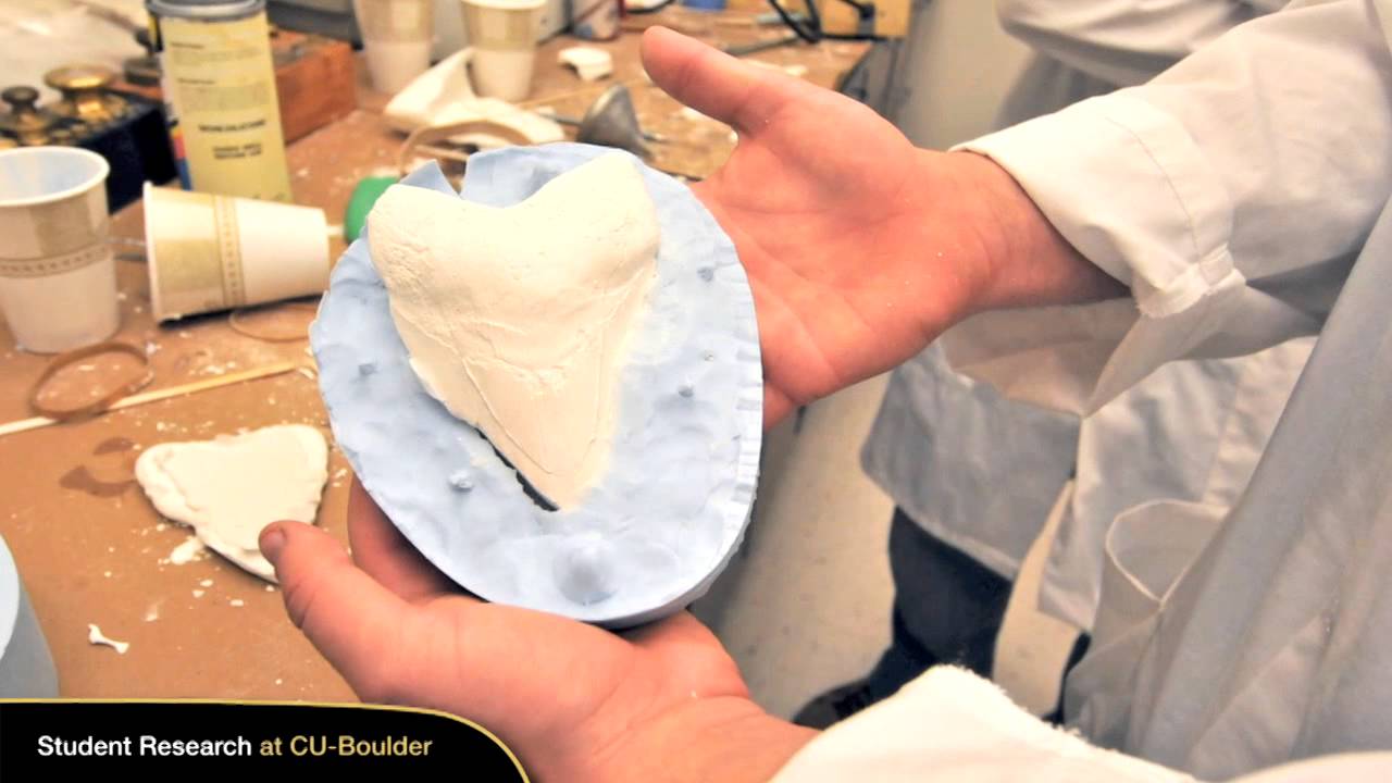 Student Research Opportunities at CU-Boulder: Paleontology - YouTube