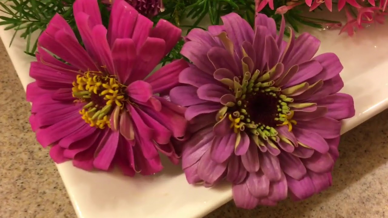 Shallow plate flower arrangement demo - YouTube