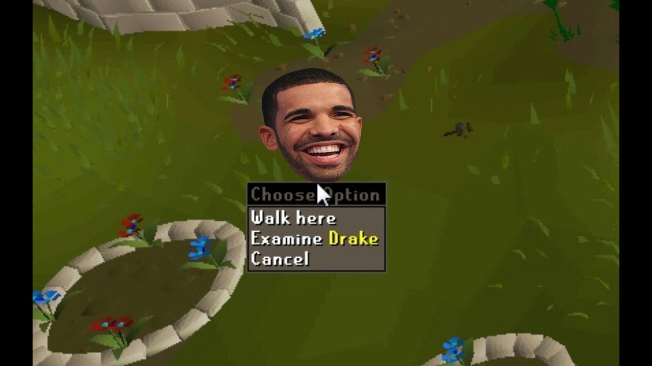 Drake Walk Meme
