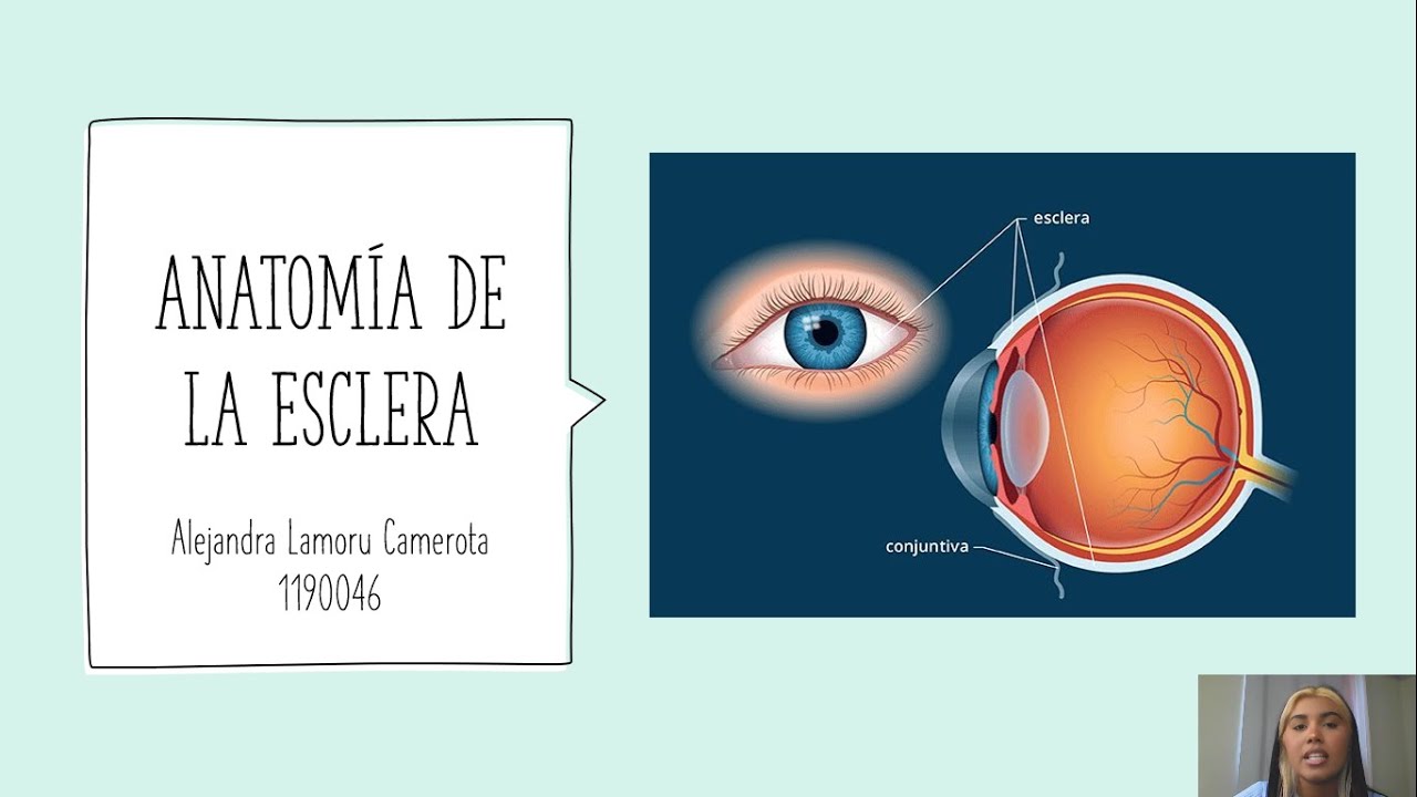 Anatomia de la Esclera - YouTube