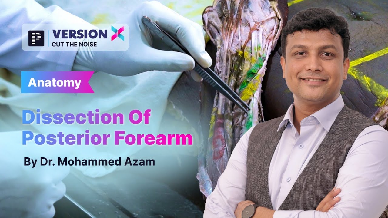 Dissection Of Posterior Compartment Of Forearm by Dr. Azam - YouTube