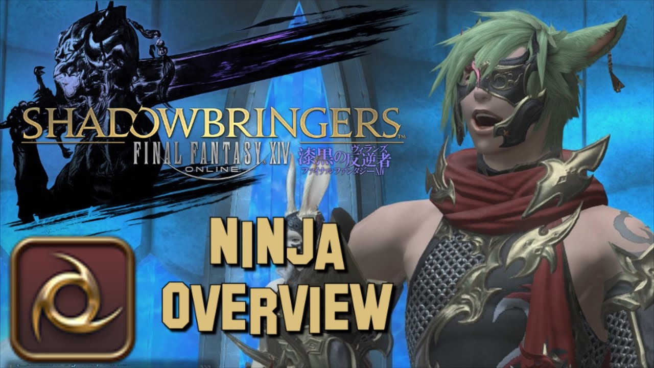 SHADOWBRINGERS - Ninja Changes & Overview - YouTube