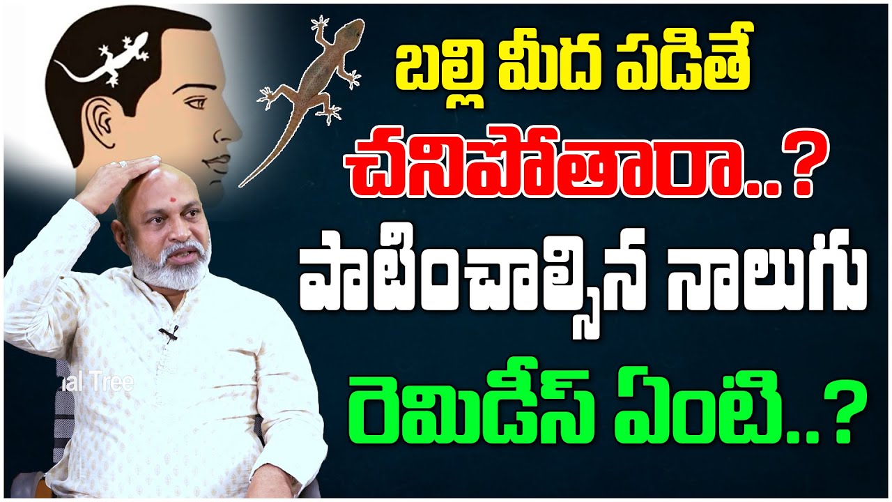 బల్లి మీద పడితే చనిపోతారా? | Balli Sastram | Nanaji Patnaik ...