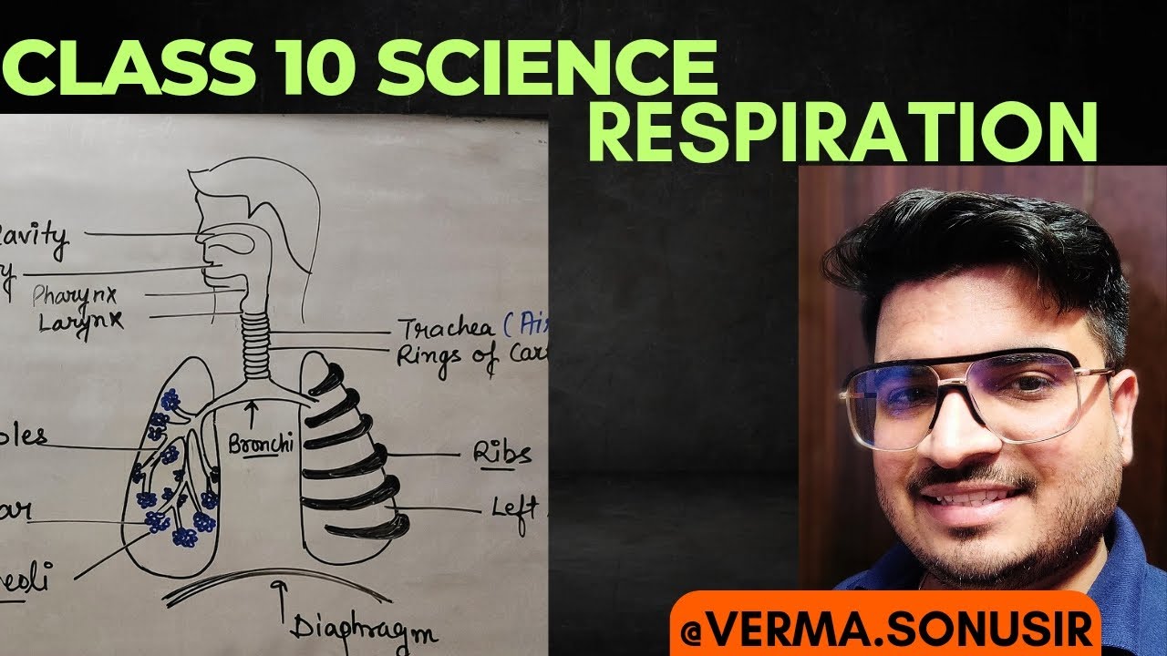 Respiration class 10 science chapter 5 @sonuverma.education - YouTube
