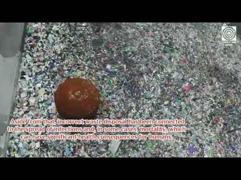 Effects of Improper Waste Disposal