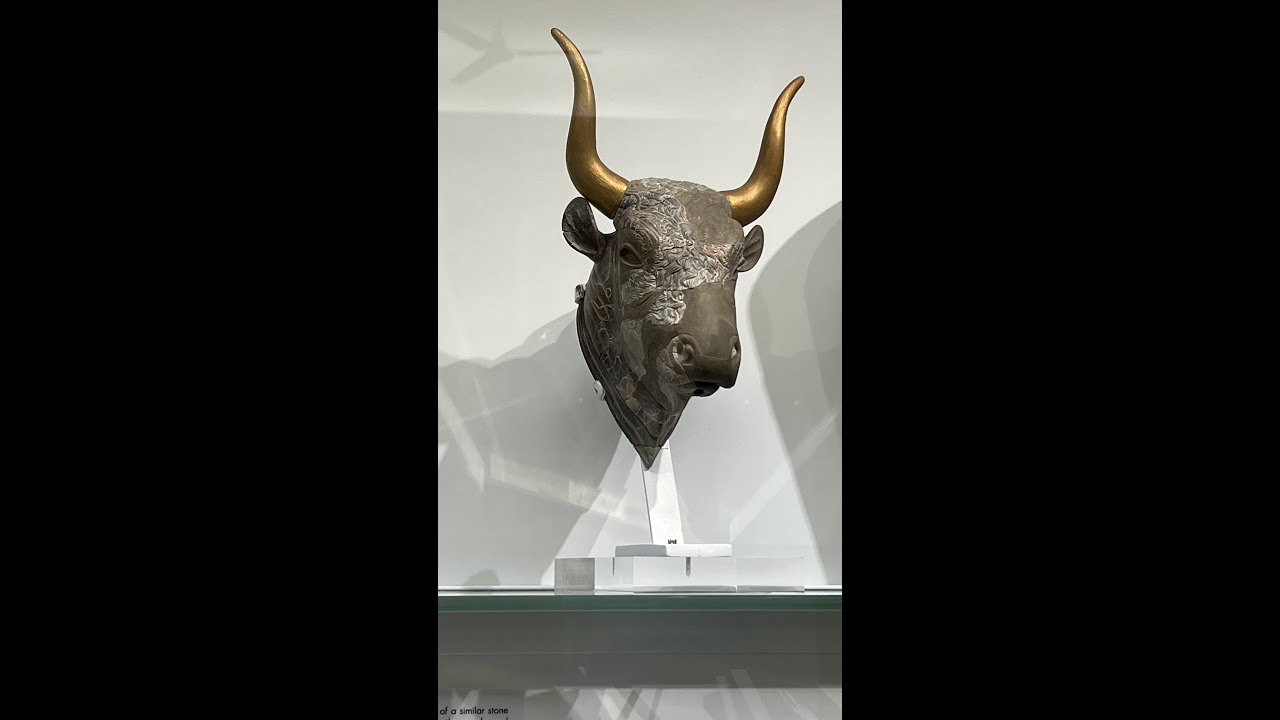 BULL RHYTON VIDEO annotated - YouTube
