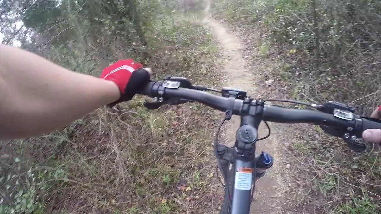 Ocala MTB Vortex Trail - Low Angle Video - YouTube