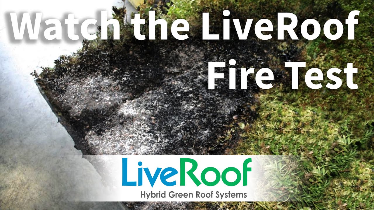 LiveRoof: Green Roof Fire Test - YouTube