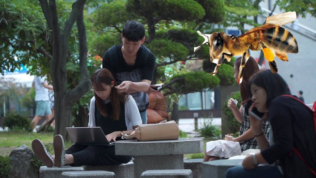 여대생의 귀를 간질이는 벌의 정체는? [벌 프랭크] Killer Bee Prank ­­｜달총곰 - YouTube