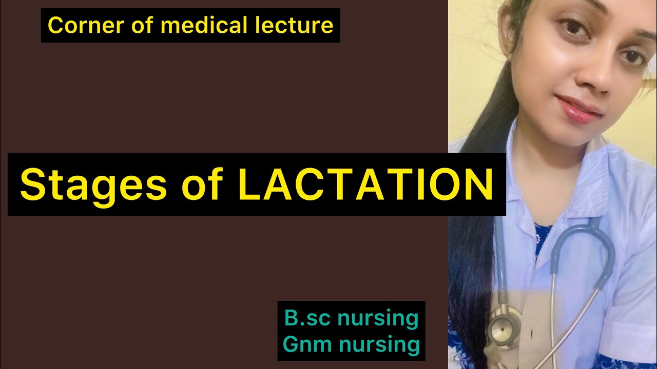 Stages of lactation #obstetrics #nursinglecture #education - YouTube